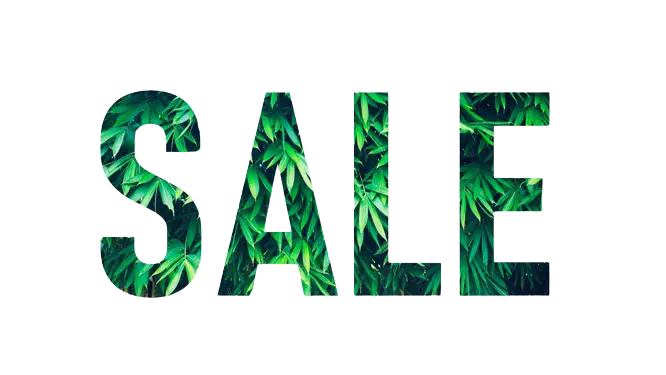 Inhouse Windscreen Specials